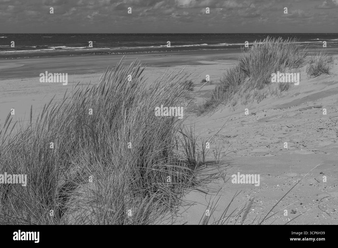 the dutch island vlieland Stock Photo - Alamy