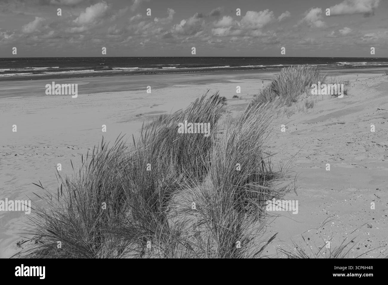 the dutch island vlieland Stock Photo - Alamy