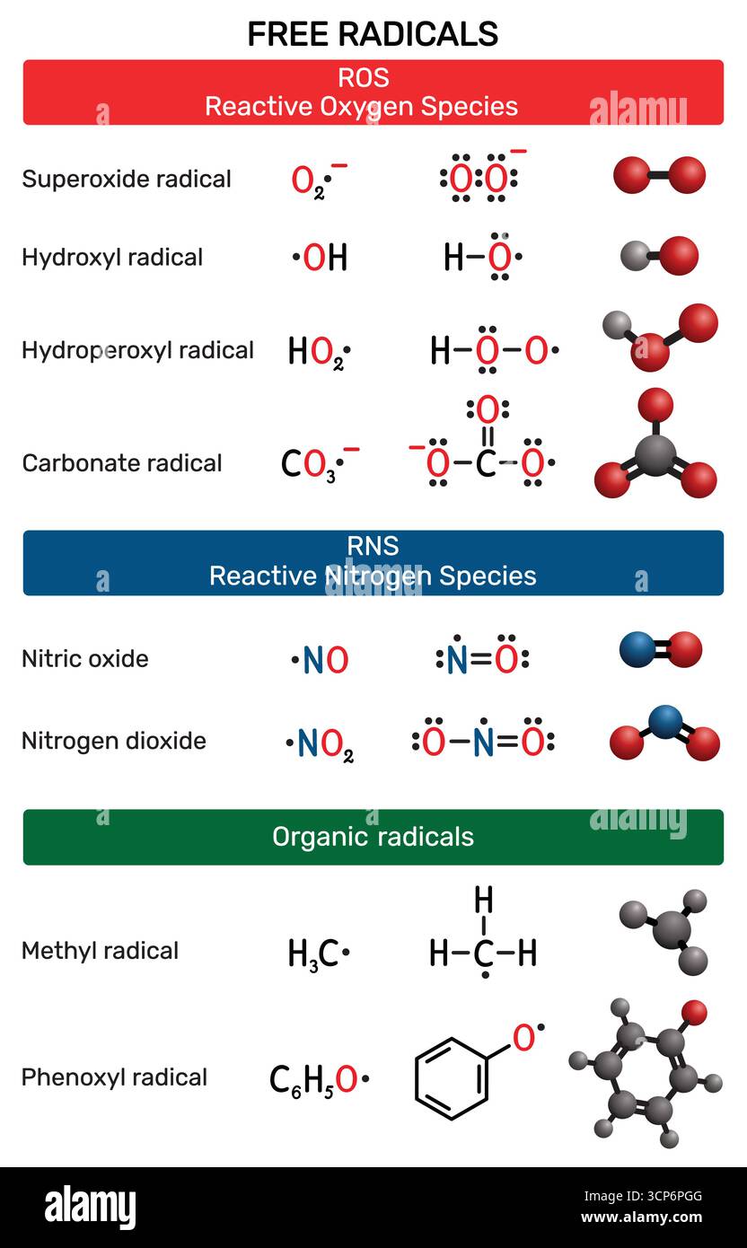 Free radicals molecule. Reactive oxygen species (ROS), reactive ...