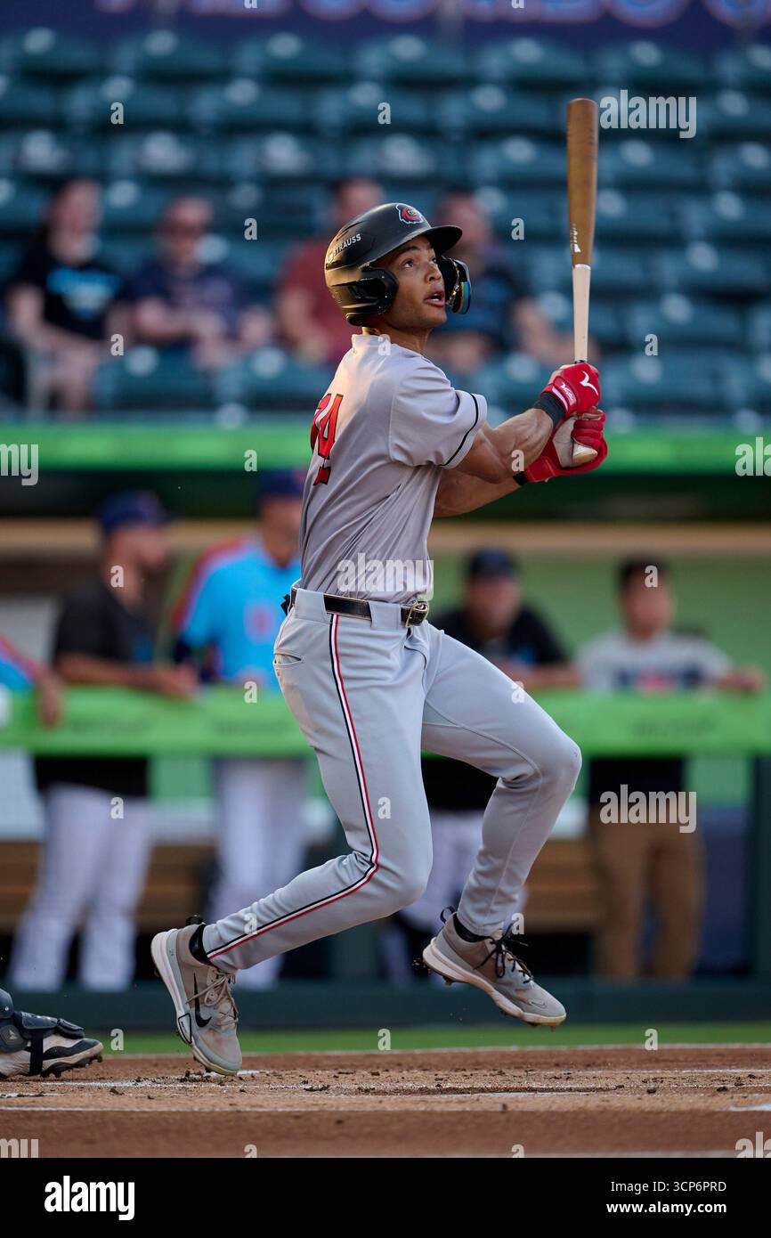 Rochester Red Wings Andrew Pinckney (24) hits a home run during an MiLB ...