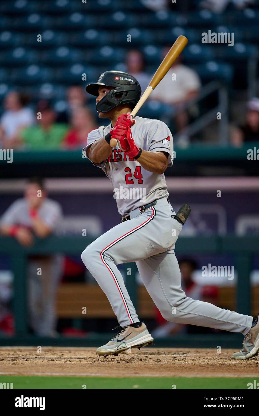 Rochester Red Wings Andrew Pinckney (24) hits a home run during an MiLB ...
