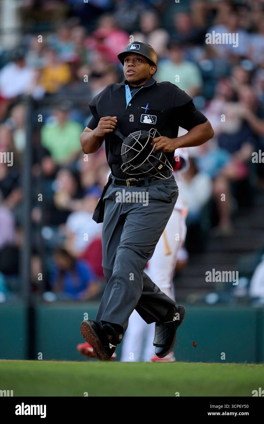 Umpire Jamal Allen during an MiLB Eastern League baseball game between ...