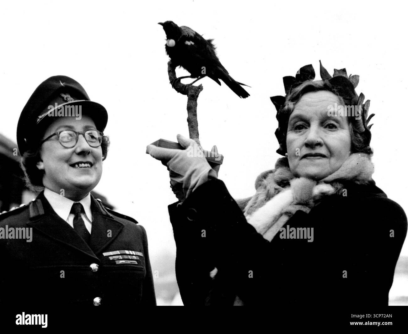 Brigadier dame frances coulshed hi-res stock photography and images - Alamy