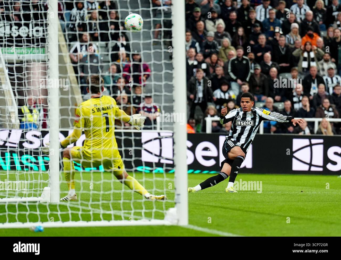 Osula newcastle 2025 hi-res stock photography and images - Alamy