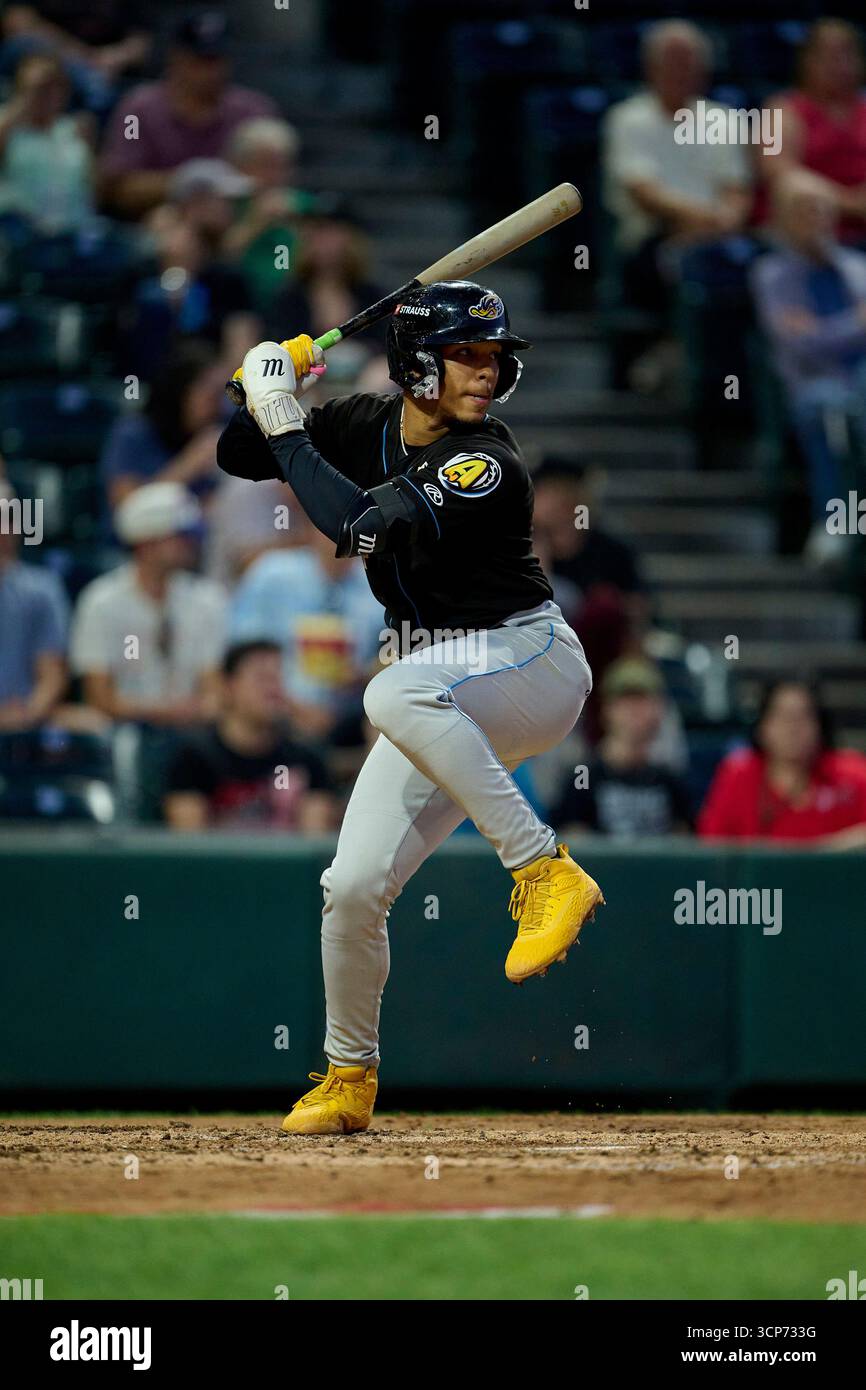 Akron RubberDucks Angel Genao (4) bats during an MiLB Eastern League ...