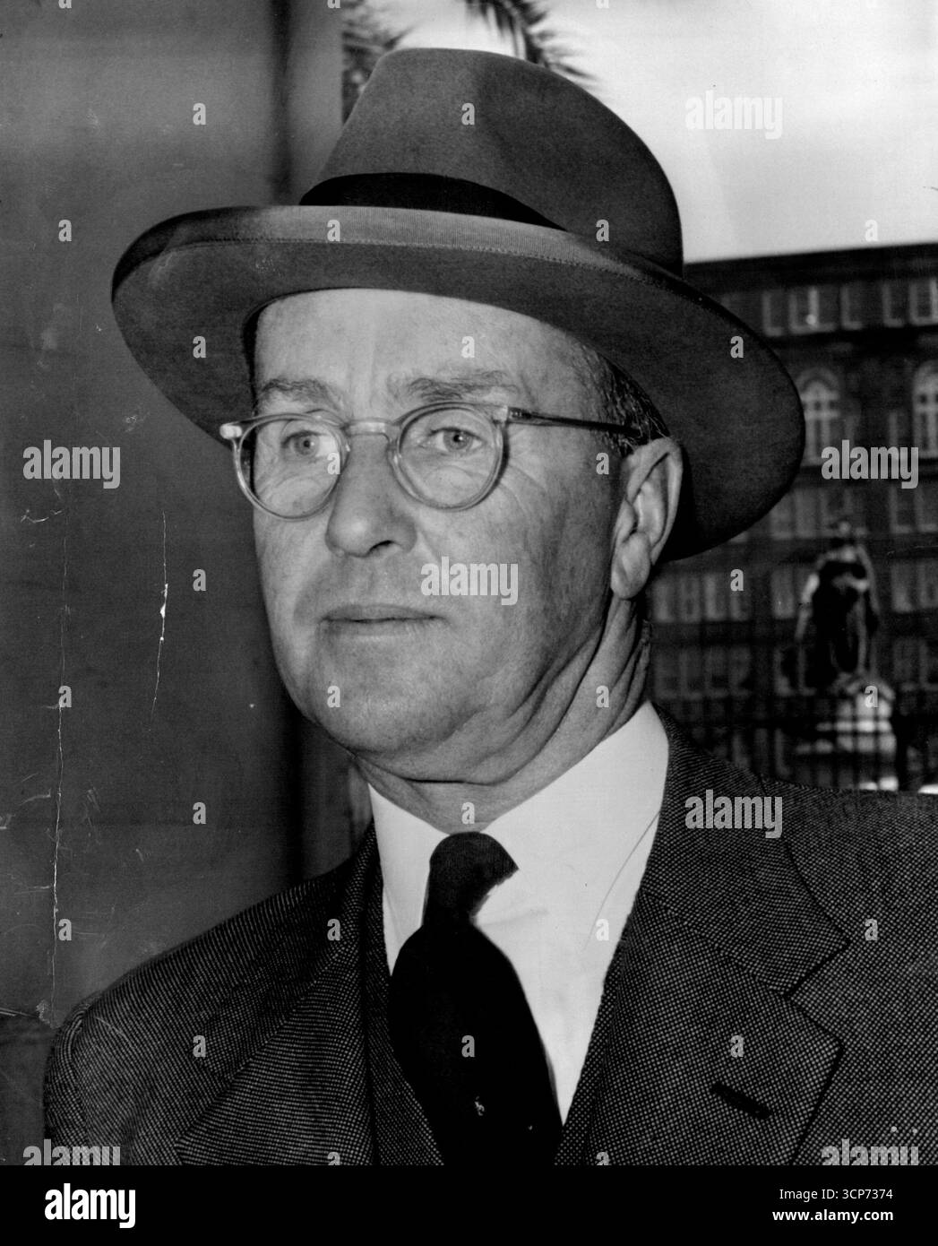 Curlewis hi-res stock photography and images - Alamy