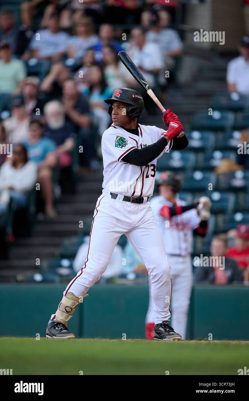 Richmond Flying Squirrels Bo Davidson (23) bats during an MiLB Eastern ...