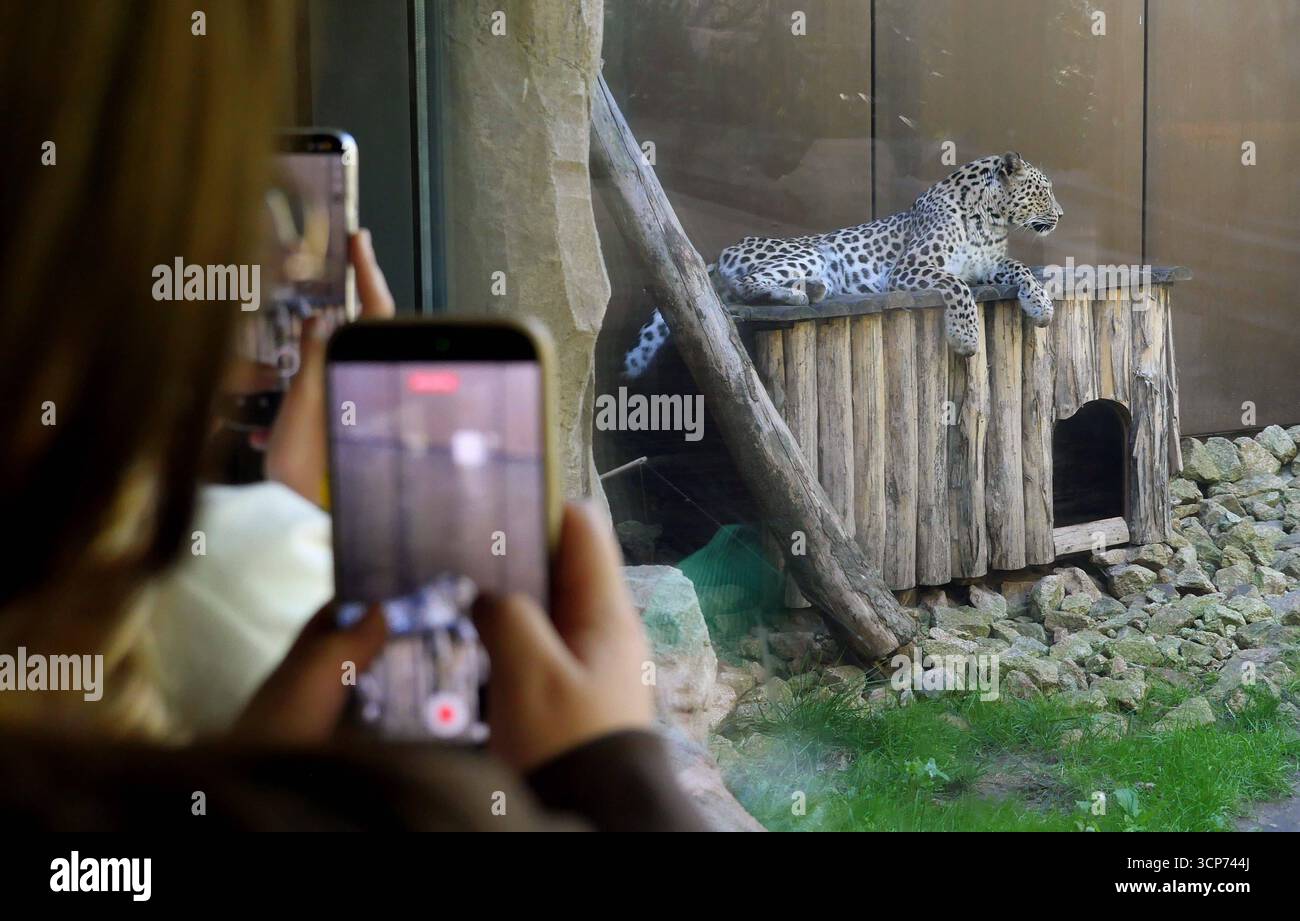 24.09.2025, Berlin - Deutschland. Tierische Stars im Zoo Berlin: der ...