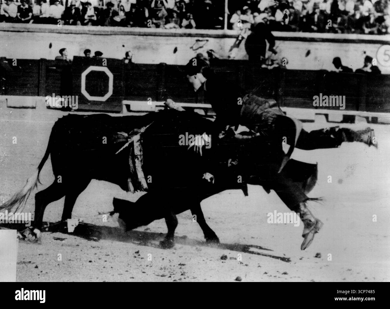 Nobly Black and White Stock Photos & Images - Alamy