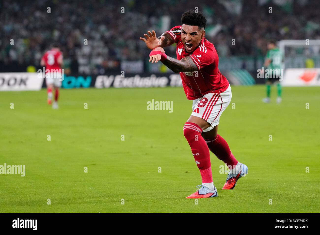 Nottingham Forest's Igor Jesus celebrates after scoring during the ...