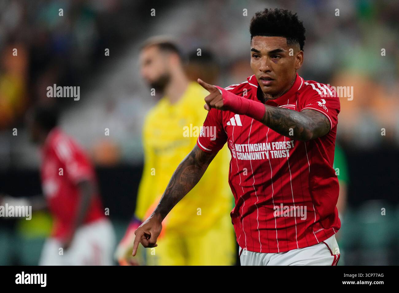 Nottingham Forest's Igor Jesus celebrates after scoring during the ...