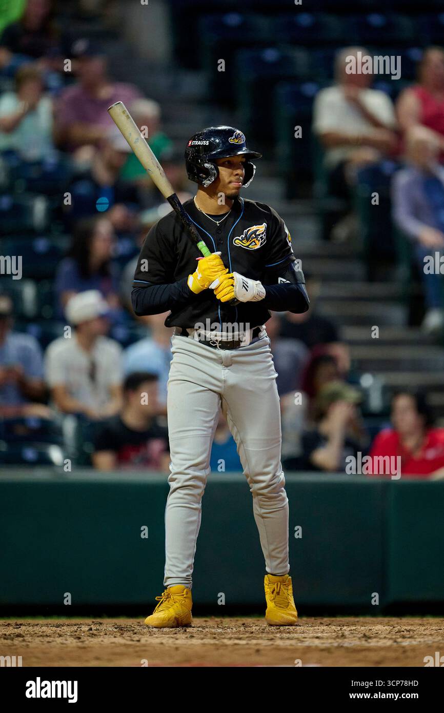 Akron RubberDucks Angel Genao (4) bats during an MiLB Eastern League ...