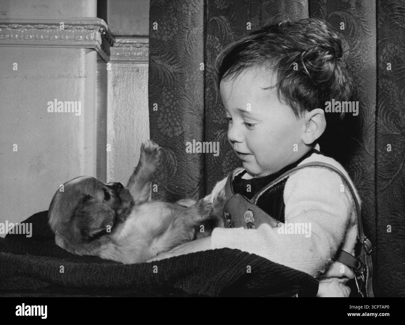 Timothy farmer hi-res stock photography and images - Alamy