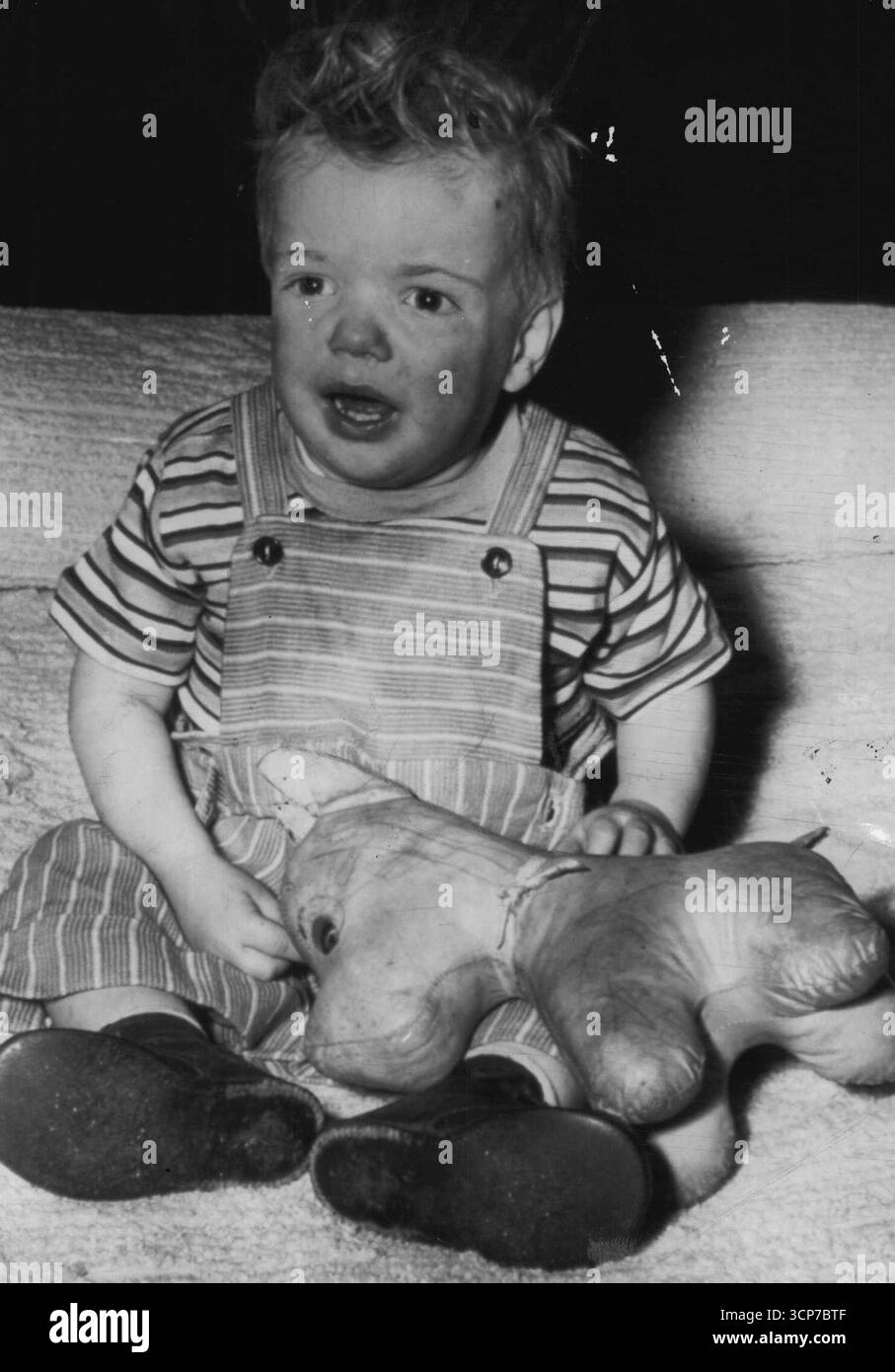 Feel 40 Feet And Hurt His Gums -- Baby Gus ***** has some reason, but ...