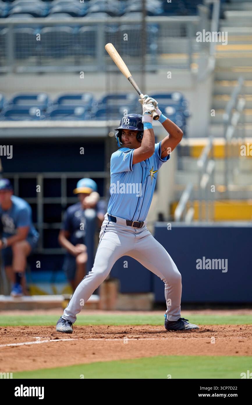 Tampa Bay Rays Dean Moss (19) bats during an MiLB Bridge League ...