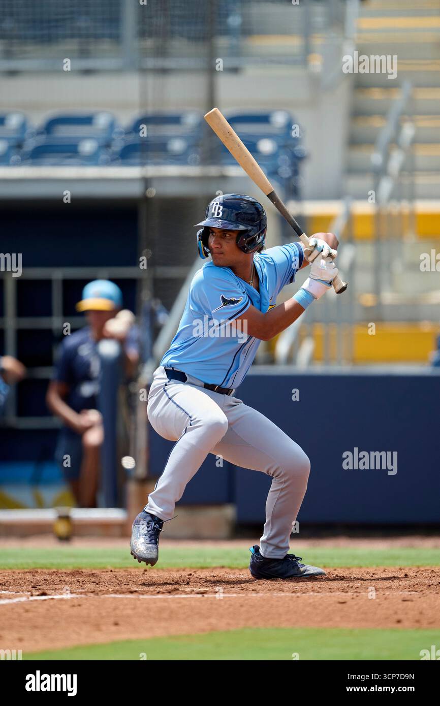 Tampa Bay Rays Dean Moss (19) bats during an MiLB Bridge League ...