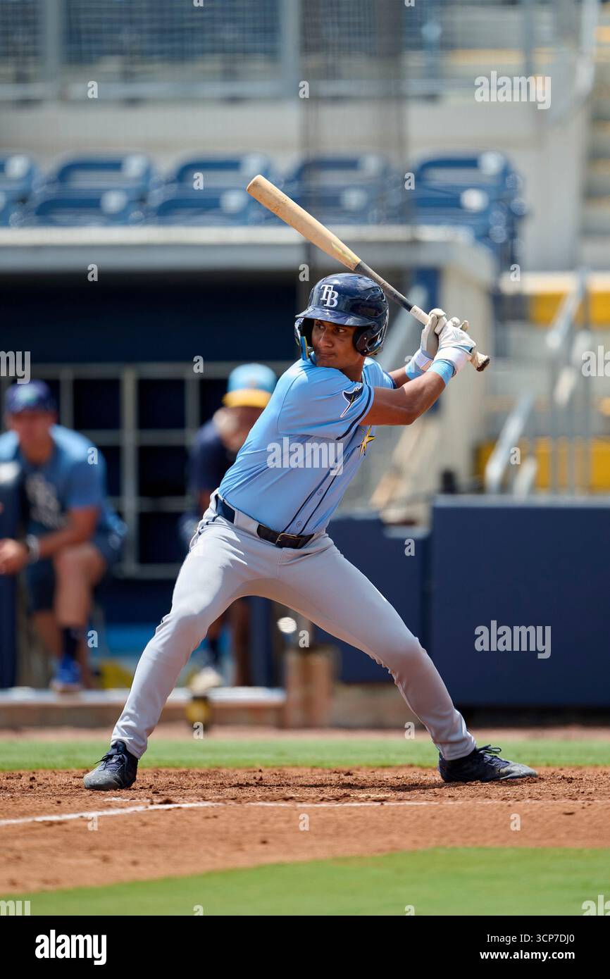 Tampa Bay Rays Dean Moss (19) bats during an MiLB Bridge League ...