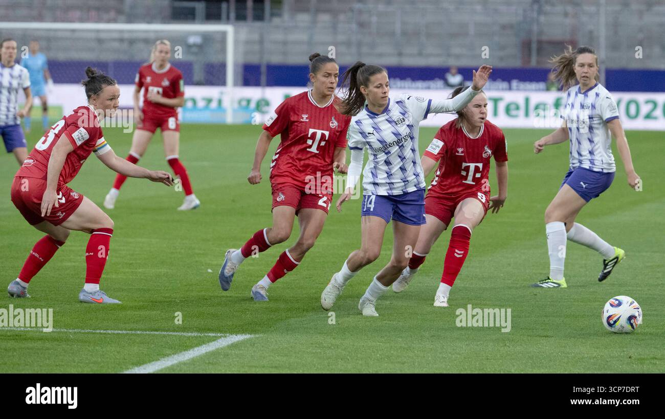 Frauenfußball SGS Essen gegen 1. FC Köln Im Stadion in der Essener ...