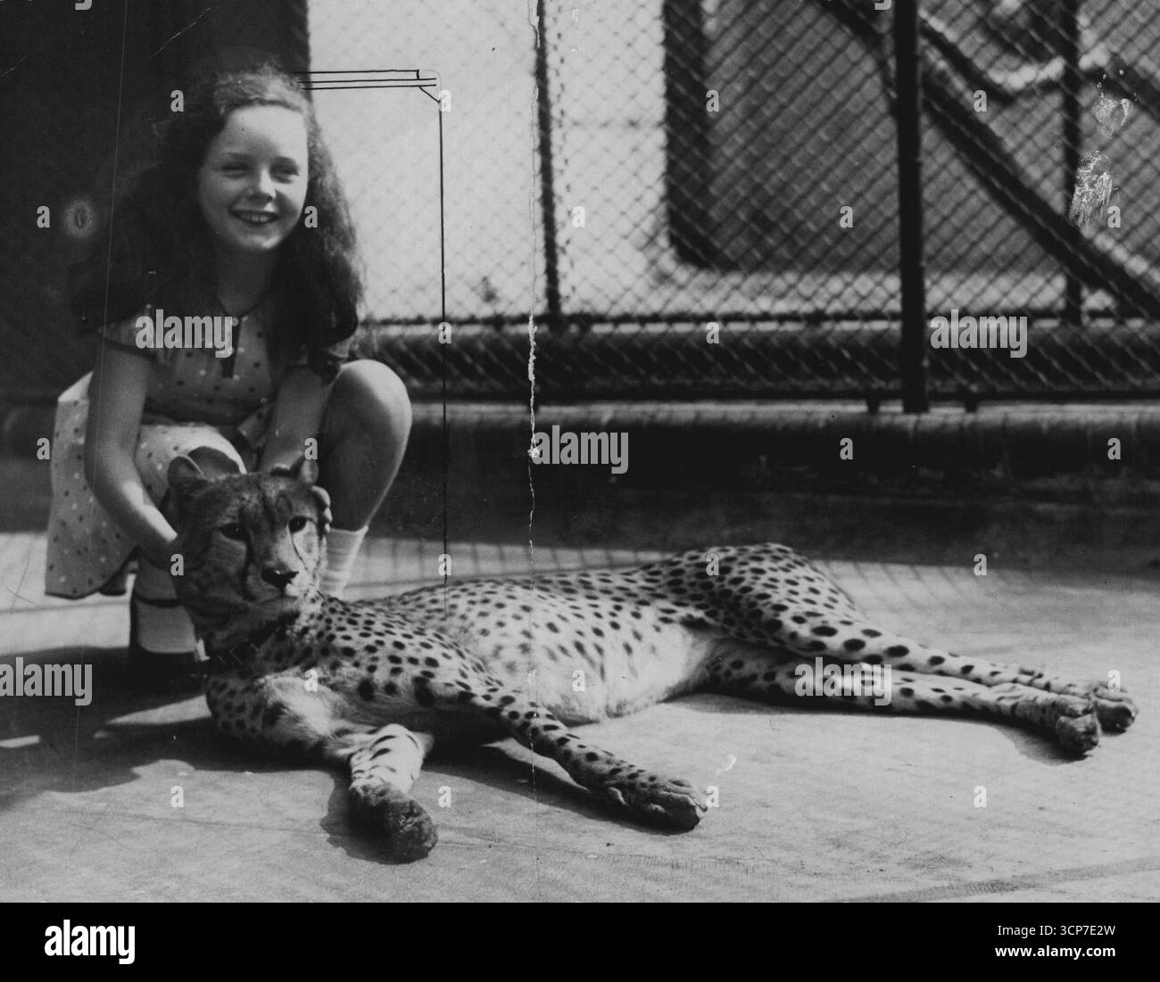 Playful Cheetah -- The children love to play with "Woggles," the ...