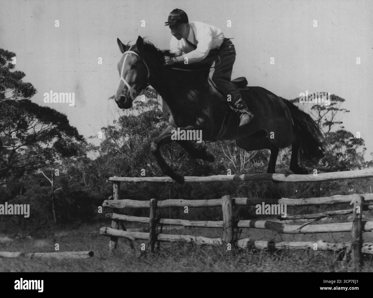 Includes swimming Black and White Stock Photos & Images - Alamy