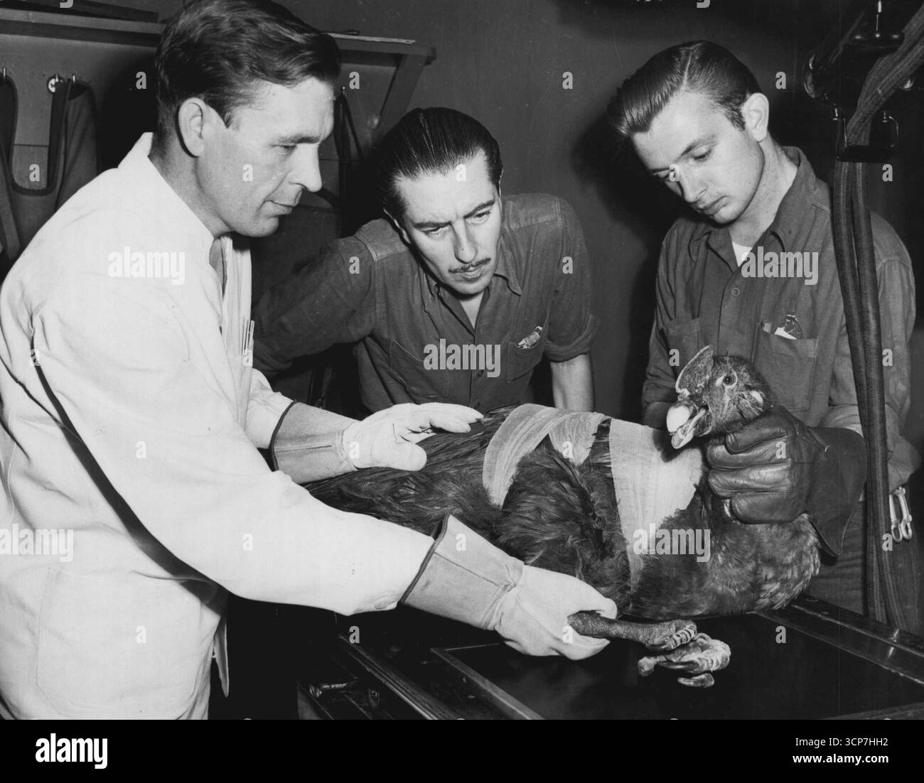 Dr robert jewett hi-res stock photography and images - Alamy
