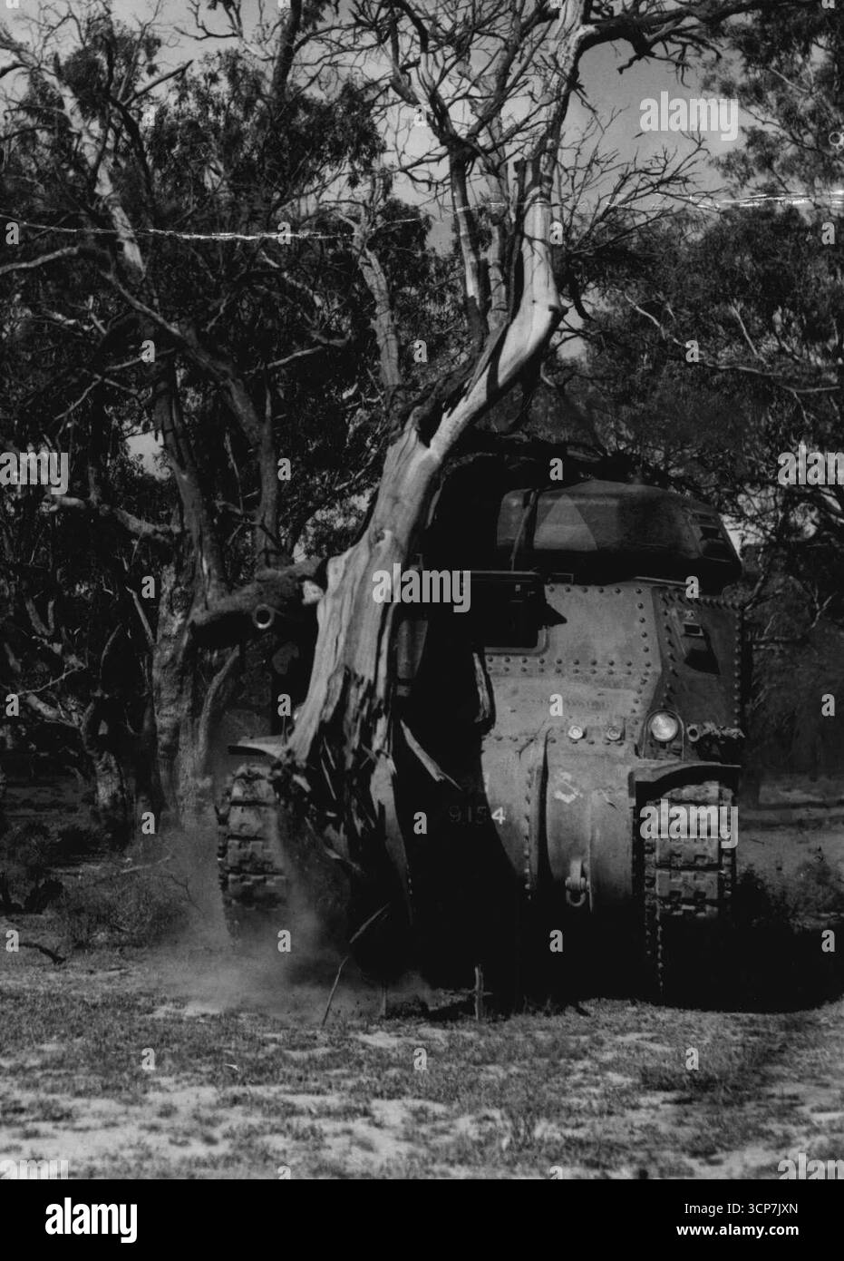 A General Grant tank makes short work of a tree in its path, during ...