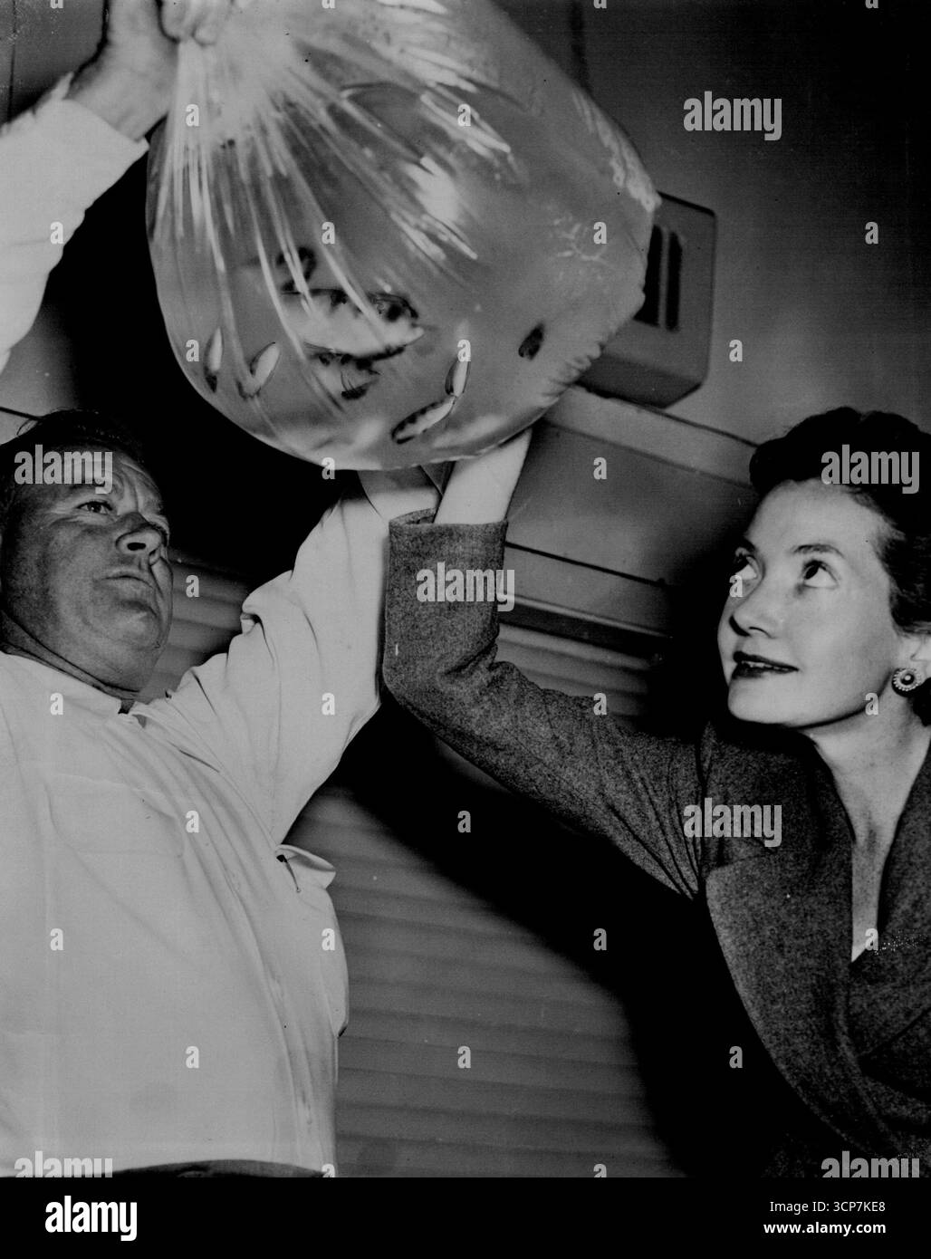 Flying fish zoo aquarium Black and White Stock Photos & Images - Alamy