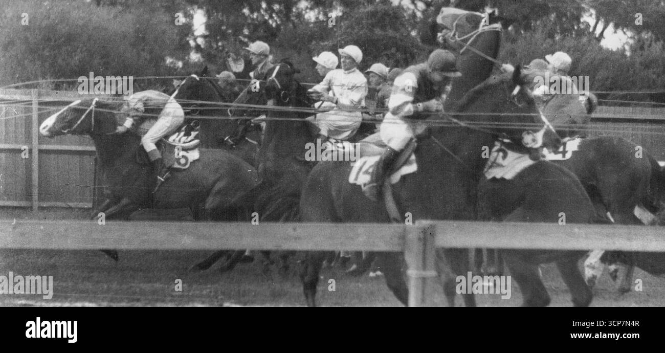 Barrier Mishaps & False Start Ect. - Turf. August 28, 1943 Stock Photo ...