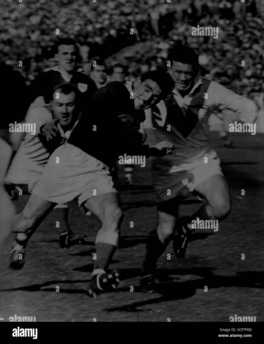 Newtown winger K. Considine grits his teeth as he evades St. George ...