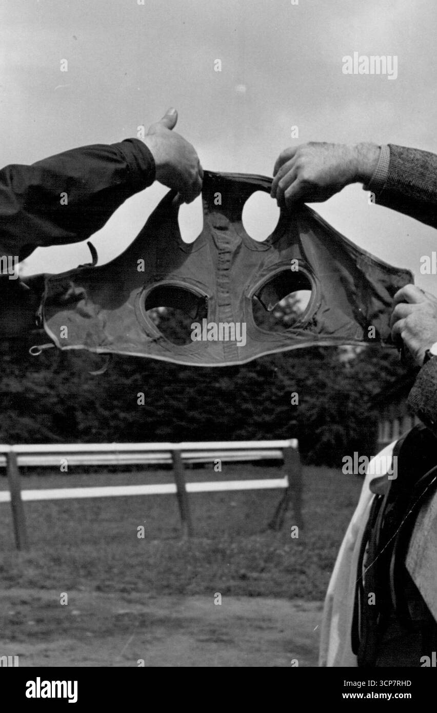 This attire is often worn at racetracks by race horses. August 21, 1952 ...