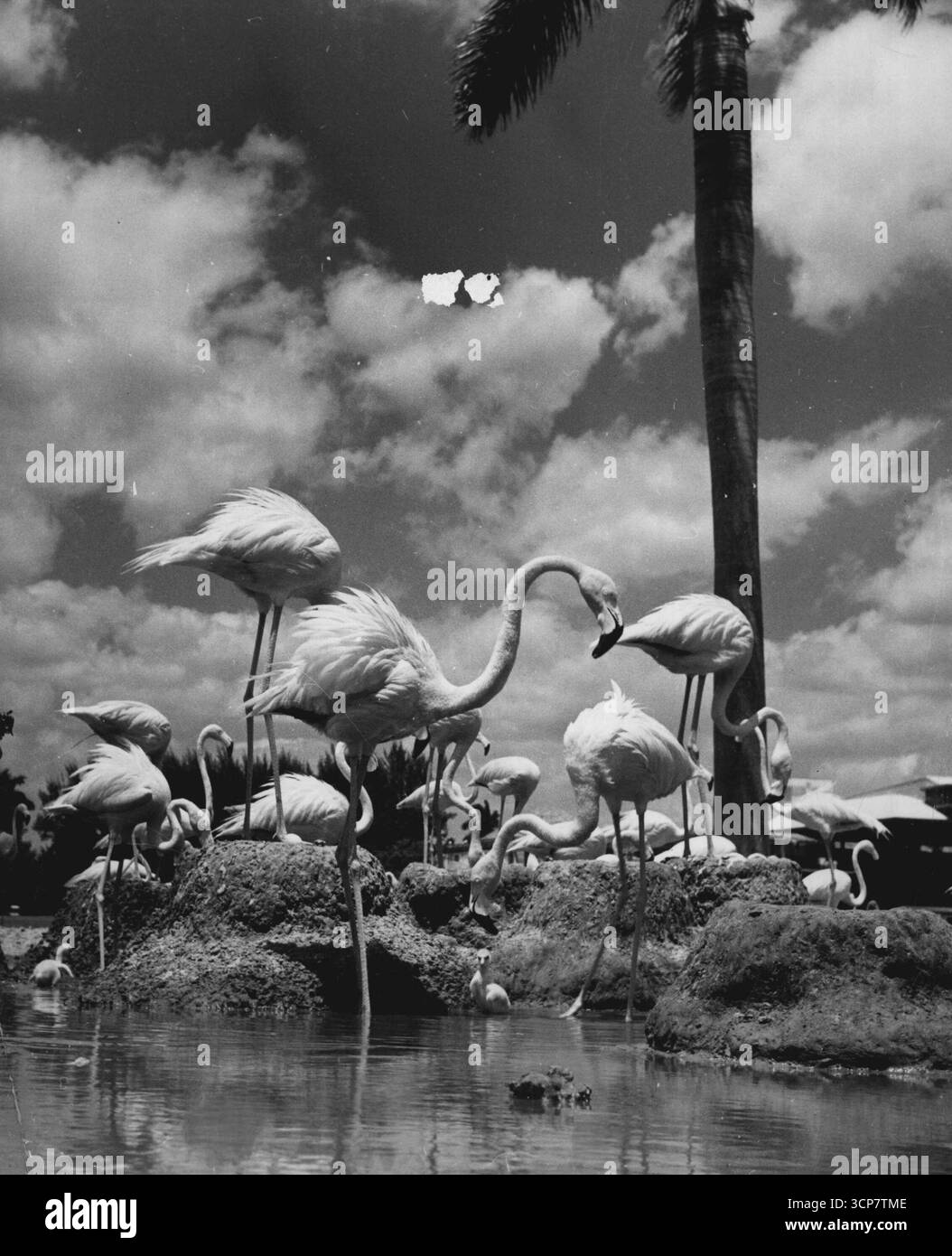 Slender tower Black and White Stock Photos & Images - Alamy