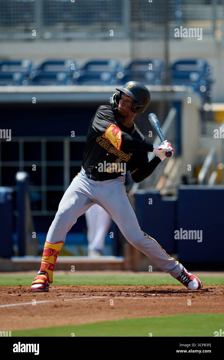 Pittsburgh Pirates Bralyn Brazoban (26) bats during an MiLB Florida ...