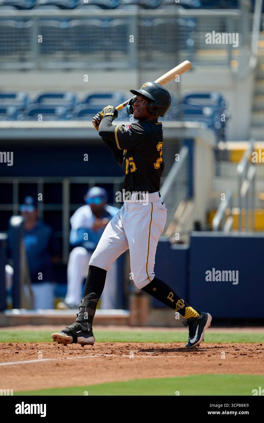 Pittsburgh Pirates Michell Ojeda (75) bats during an MiLB Florida ...