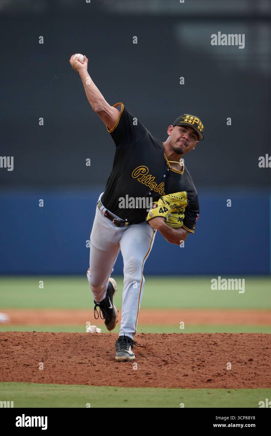 Pittsburgh Pirates pitcher Andres Silvera (19) during an MiLB Florida ...