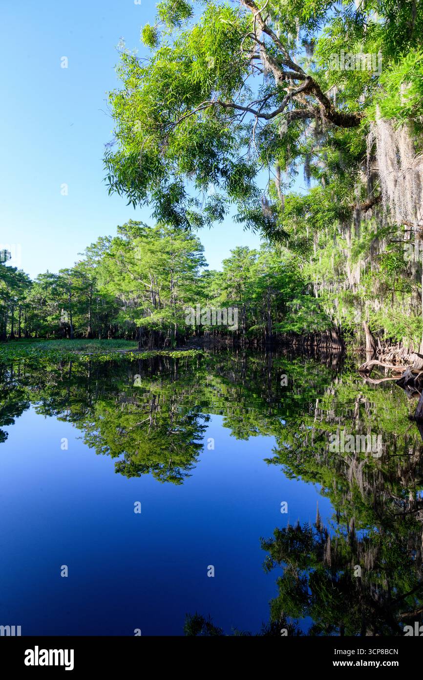 St johns river home hi-res stock photography and images - Alamy