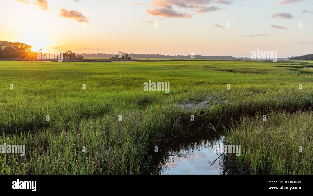 Sunrise over tidal salt hi-res stock photography and images - Alamy