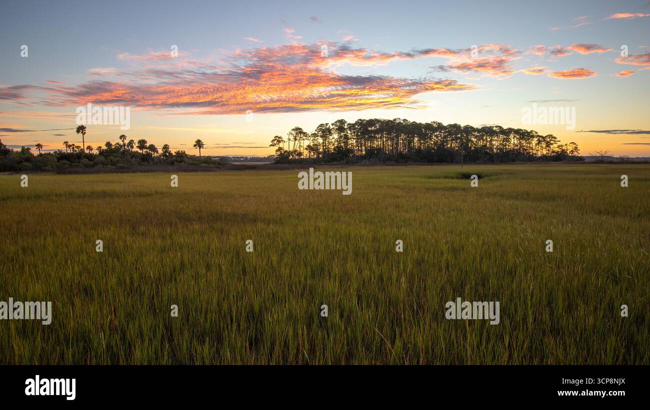 Sunrise over the salt marsh along the Tolomato River Stock Photo - Alamy