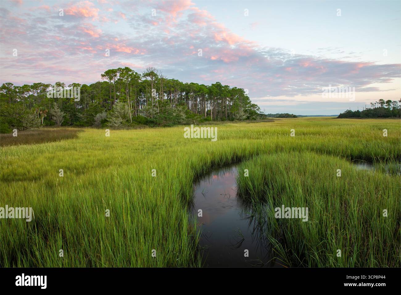 Sunrise along the salt marsh of the Tolomato River Stock Photo - Alamy