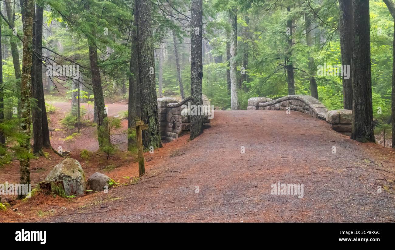 A bridge on a carriage trail in Acadia National Park Stock Photo - Alamy