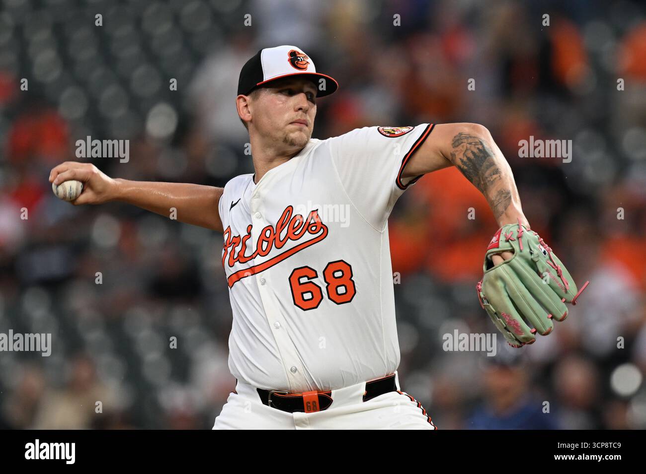 Baltimore Orioles pitcher Tyler Wells throws against the Tampa Bay Rays ...