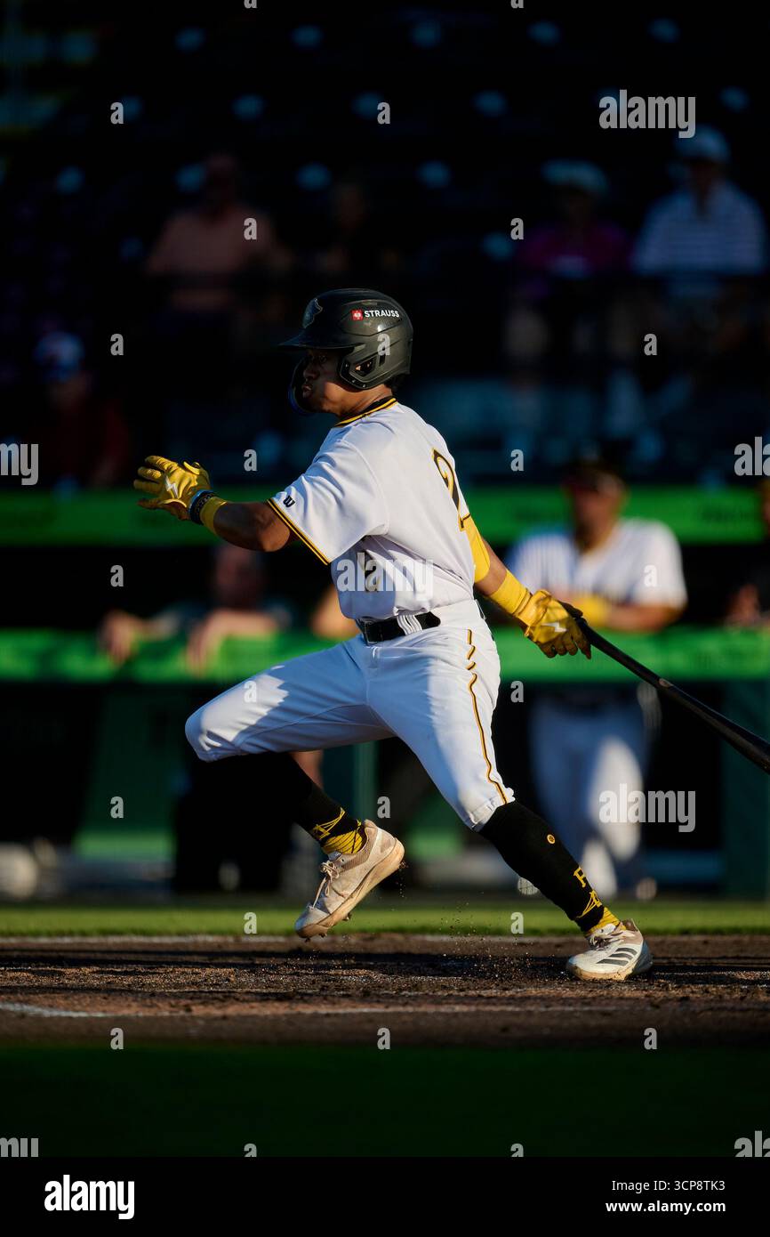 Bradenton Marauders Dylan Palmer (2) bats during an MiLB Florida State ...