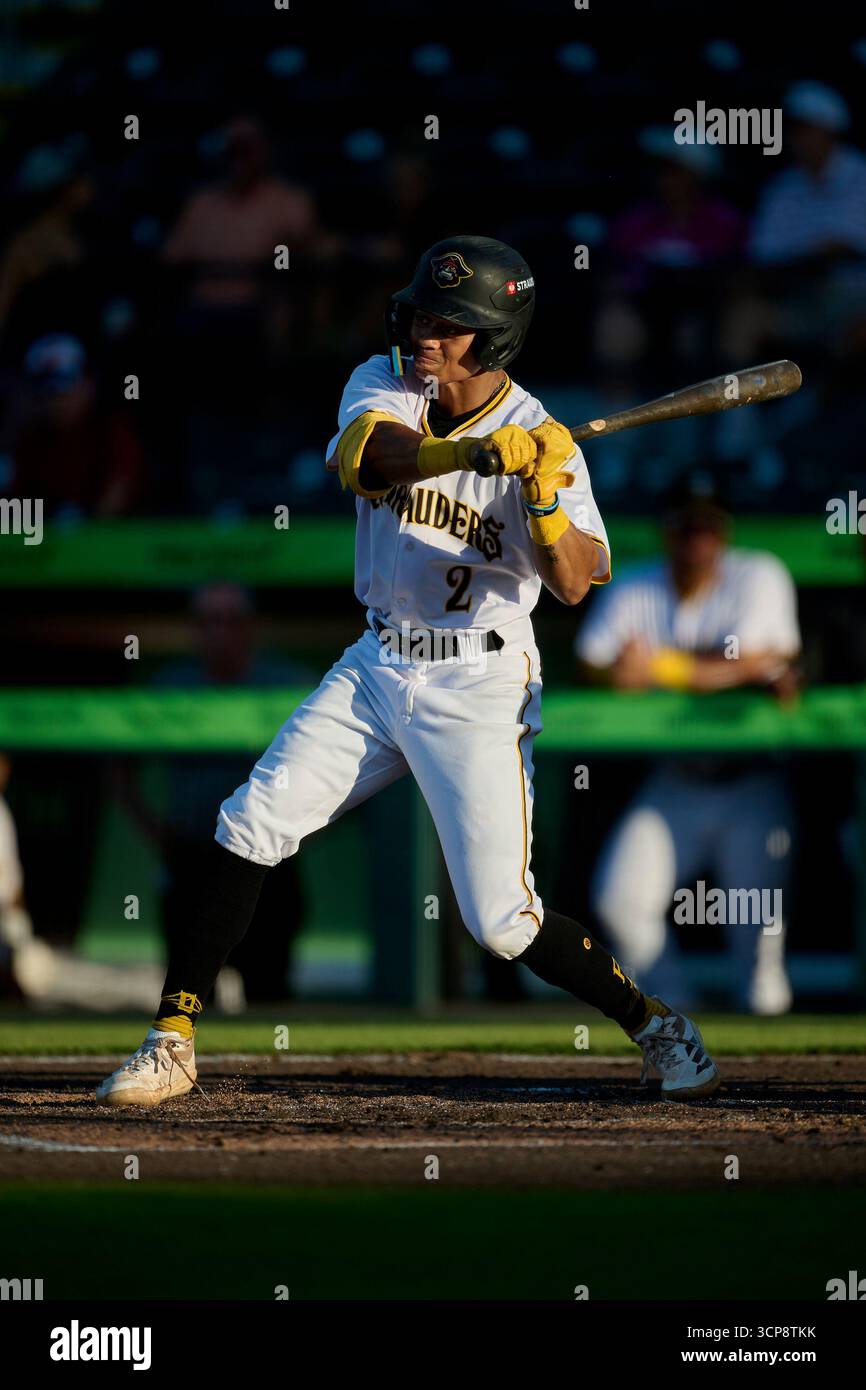 Bradenton Marauders Dylan Palmer (2) bats during an MiLB Florida State ...