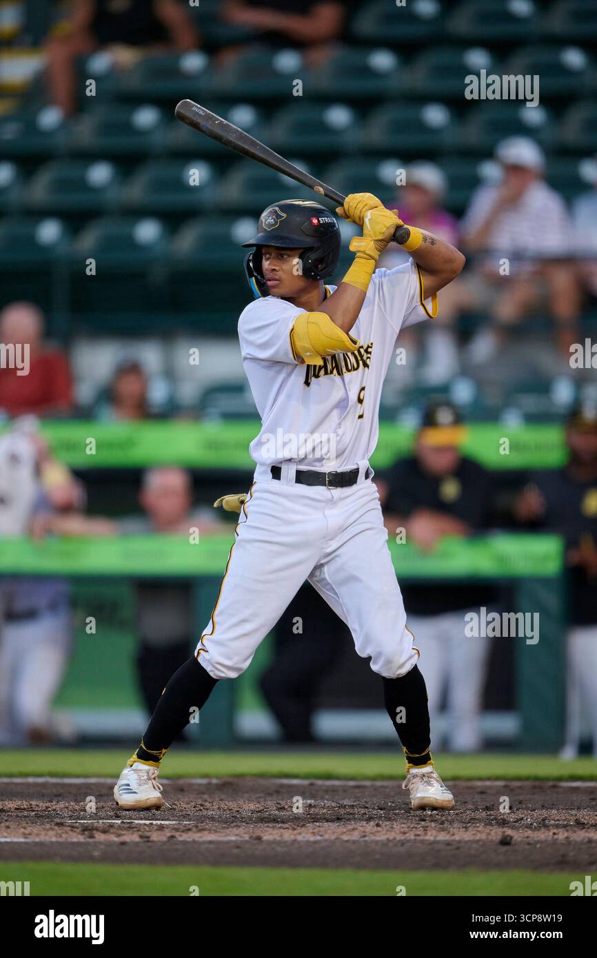 Bradenton Marauders Dylan Palmer (2) bats during an MiLB Florida State ...