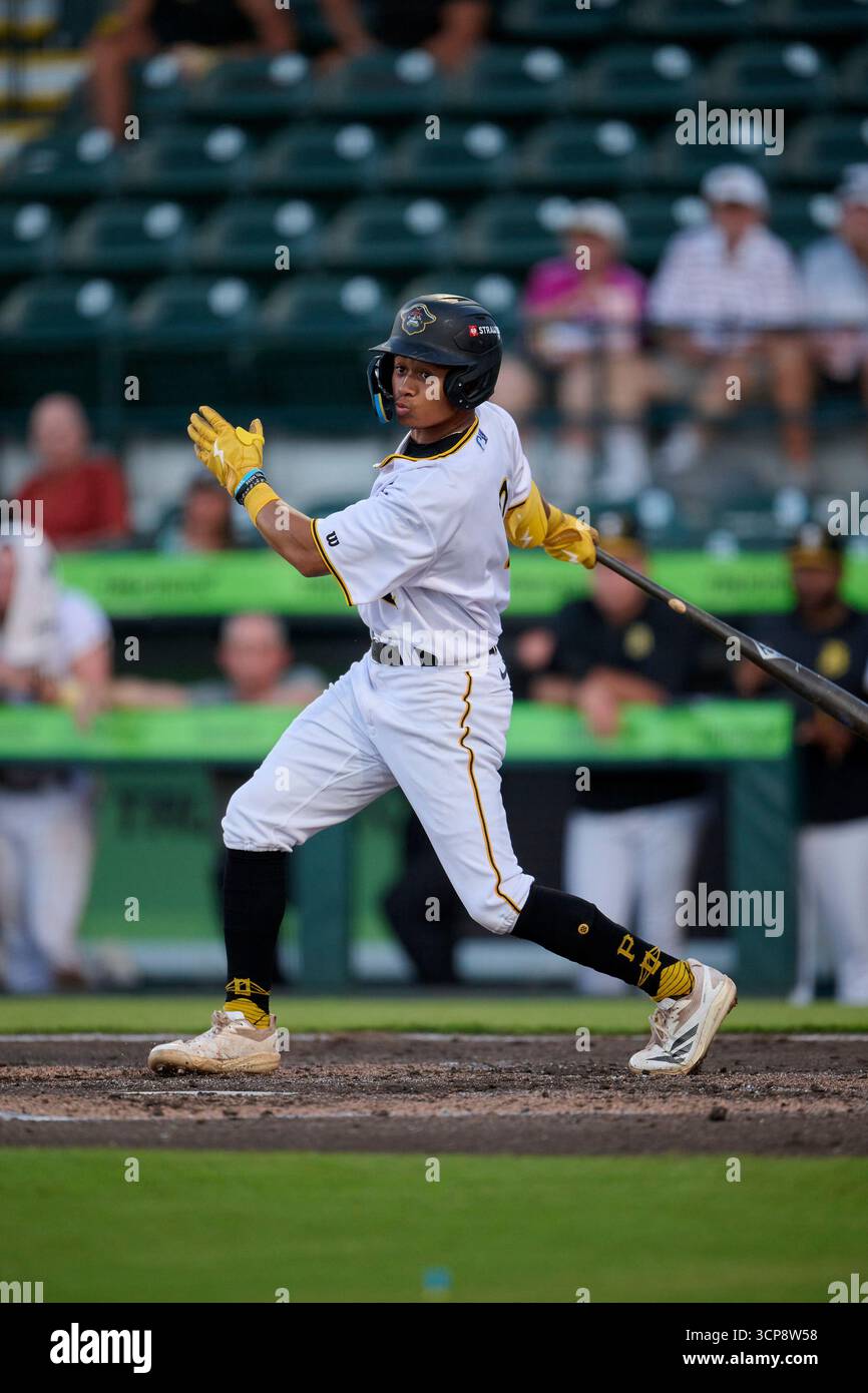 Bradenton Marauders Dylan Palmer (2) bats during an MiLB Florida State ...