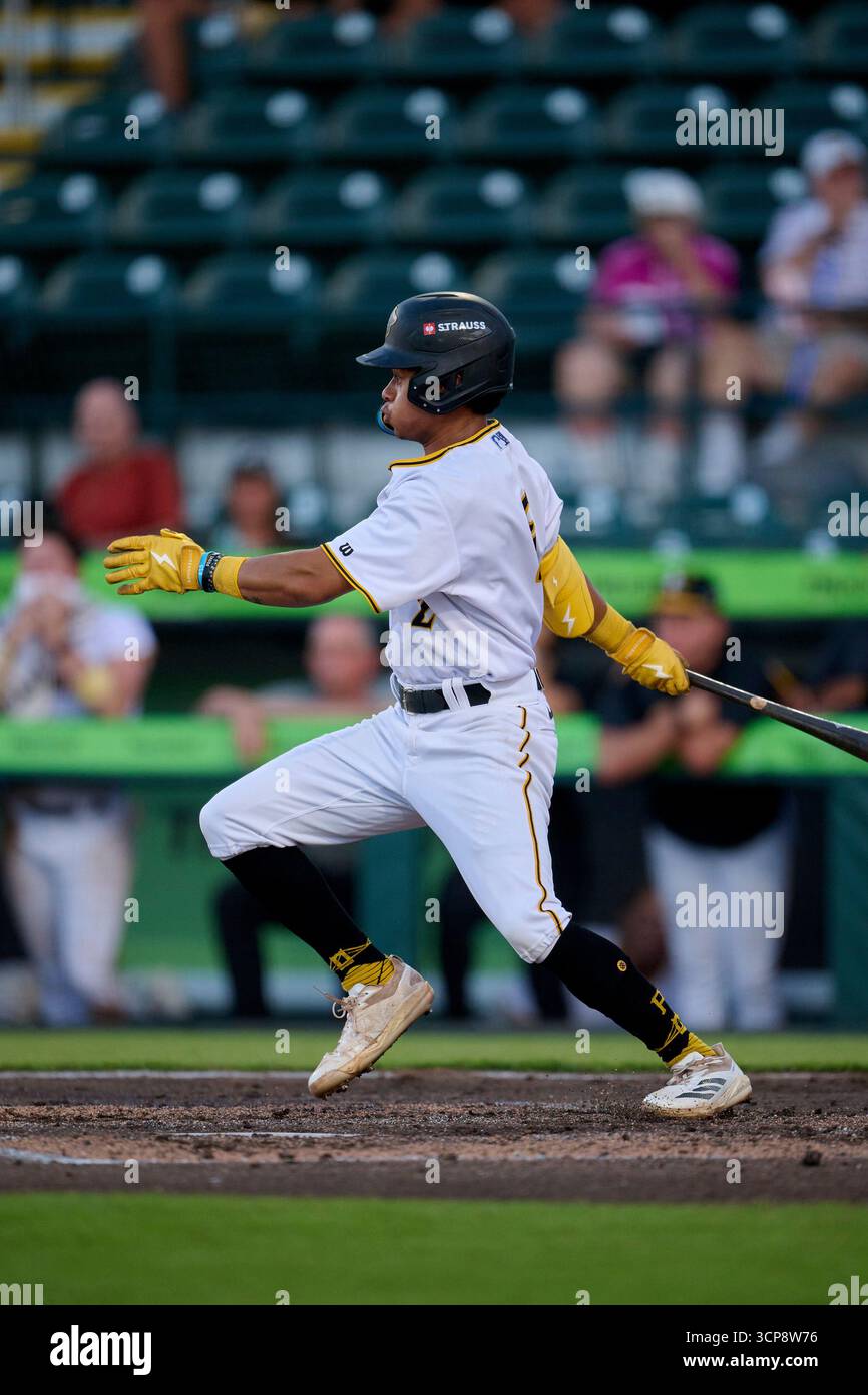 Bradenton Marauders Dylan Palmer (2) bats during an MiLB Florida State ...