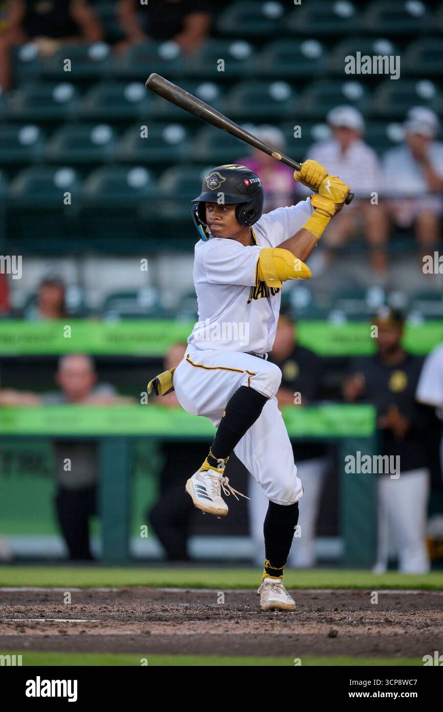 Bradenton Marauders Dylan Palmer (2) bats during an MiLB Florida State ...