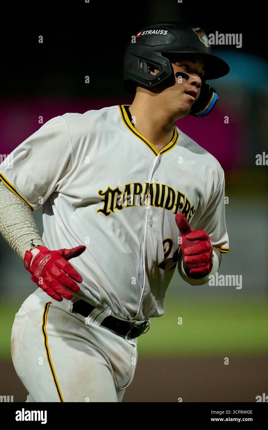 Bradenton Marauders Richard Ramirez (29) rounds the bases after hitting ...
