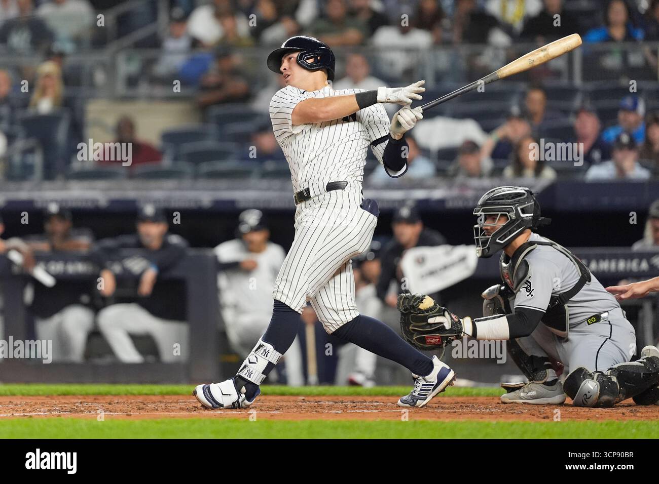 BRONX, NY - SEPTEMBER 24: New York Yankees Shortstop Anthony Volpe (11 ...