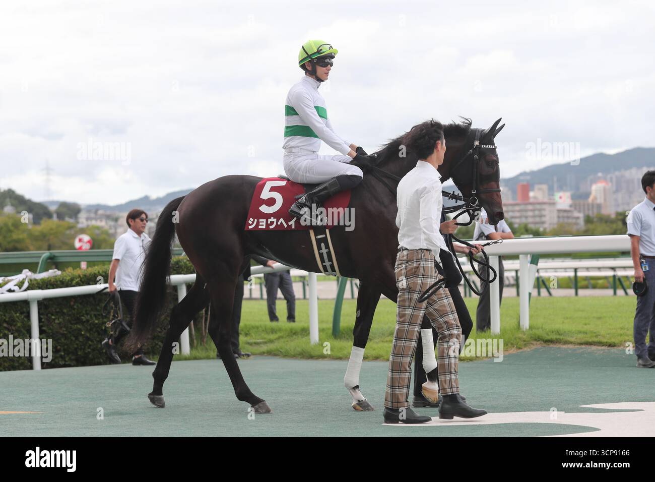 2025/09/21 HANSHIN 11R THE KOBE SHIMBUN HAI Shohei / Ryusei Sakai Jockey Hanshin Racecourse in ...