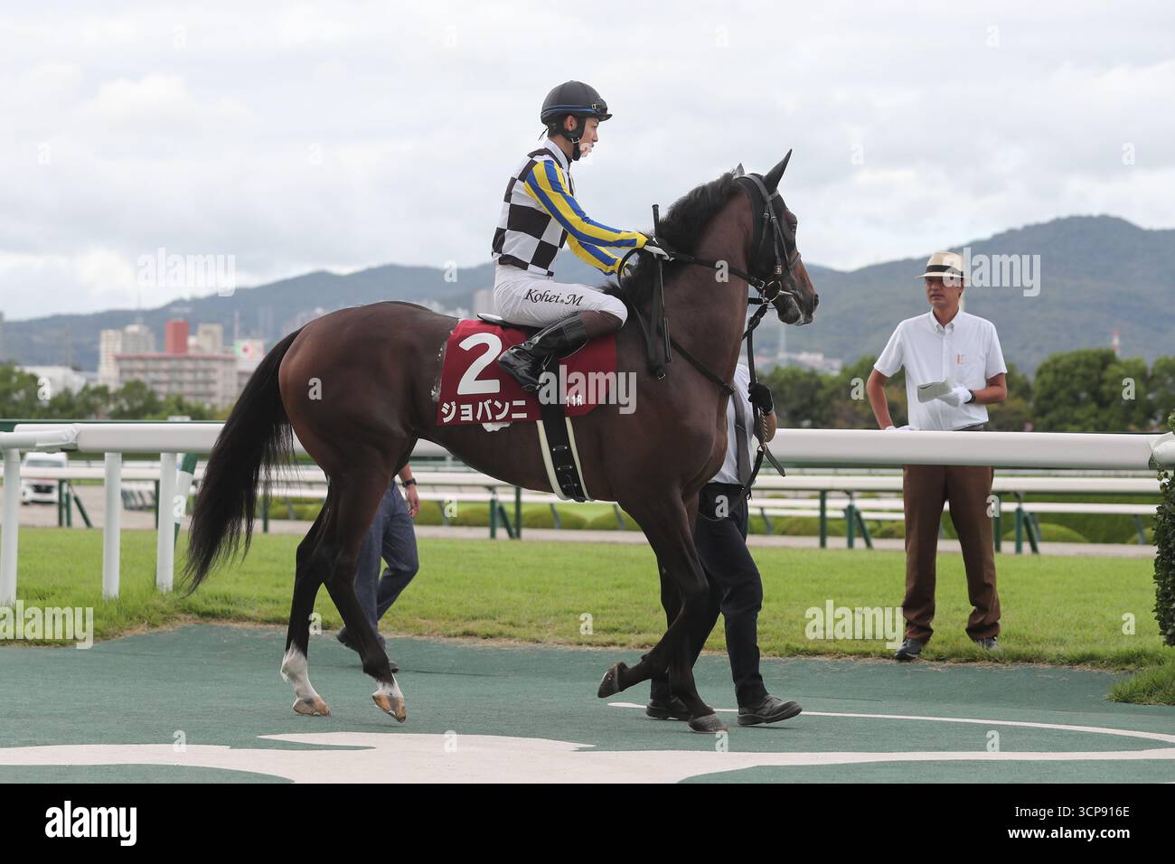 2025/09/21 HANSHIN 11R THE KOBE SHIMBUN HAI Giovanni / Kohei Matsuyama Jockey Hanshin Racecourse ...